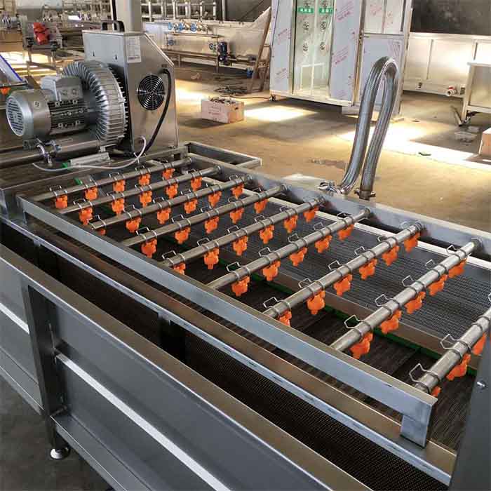 Bubble surfing vegetable fruit washing machine with ozone