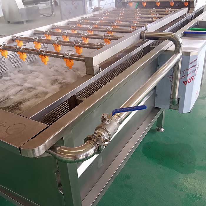 Bubble surfing vegetable fruit washing machine with ozone