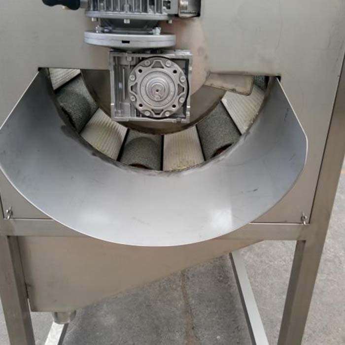 Brush root vegetable washing peeling machine - Taizy Machinery