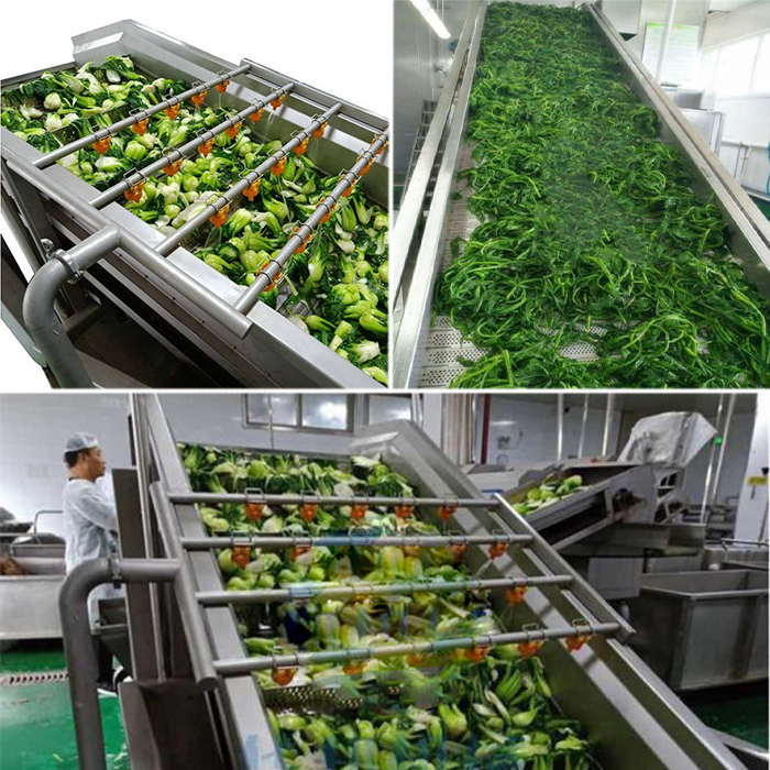 Continuous vegetable blanching machine | fruit blanching sterilizer