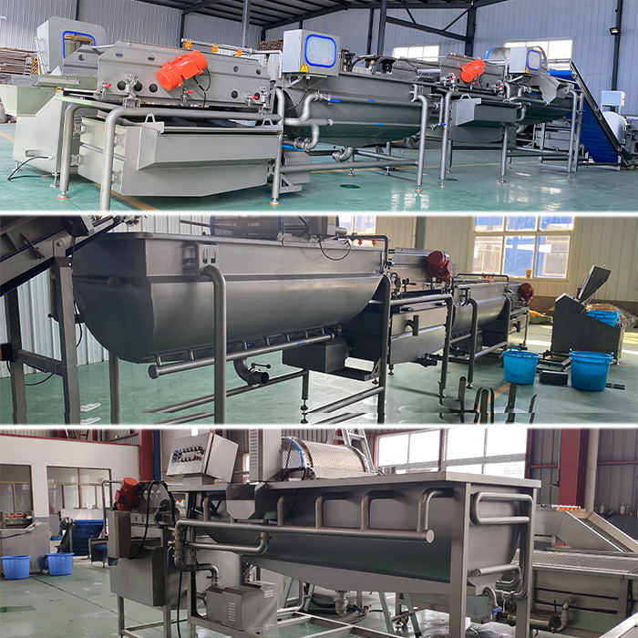 Eddy current leafy vegetable washing cleaning machine - Taizy Machinery