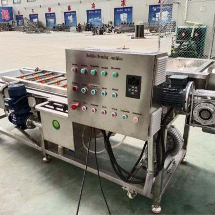 Bubble surfing vegetable fruit washing machine with ozone