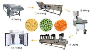 Frozen vegetable processing plant - Taizy Machinery